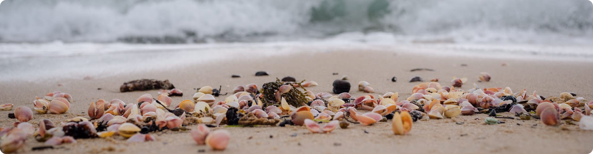 Mental Health Specialties | Beach Therapy and Consulting