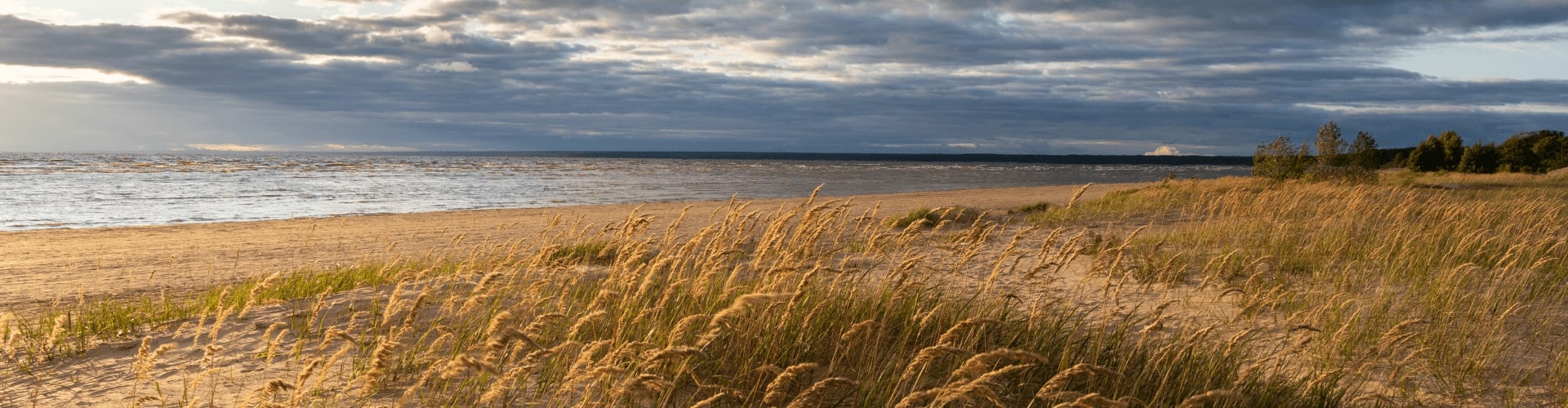 Telehealth Services | Beach Therapy and Consulting